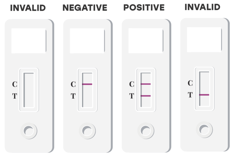 The Science behind Lateral Flow Devices - Sante Group